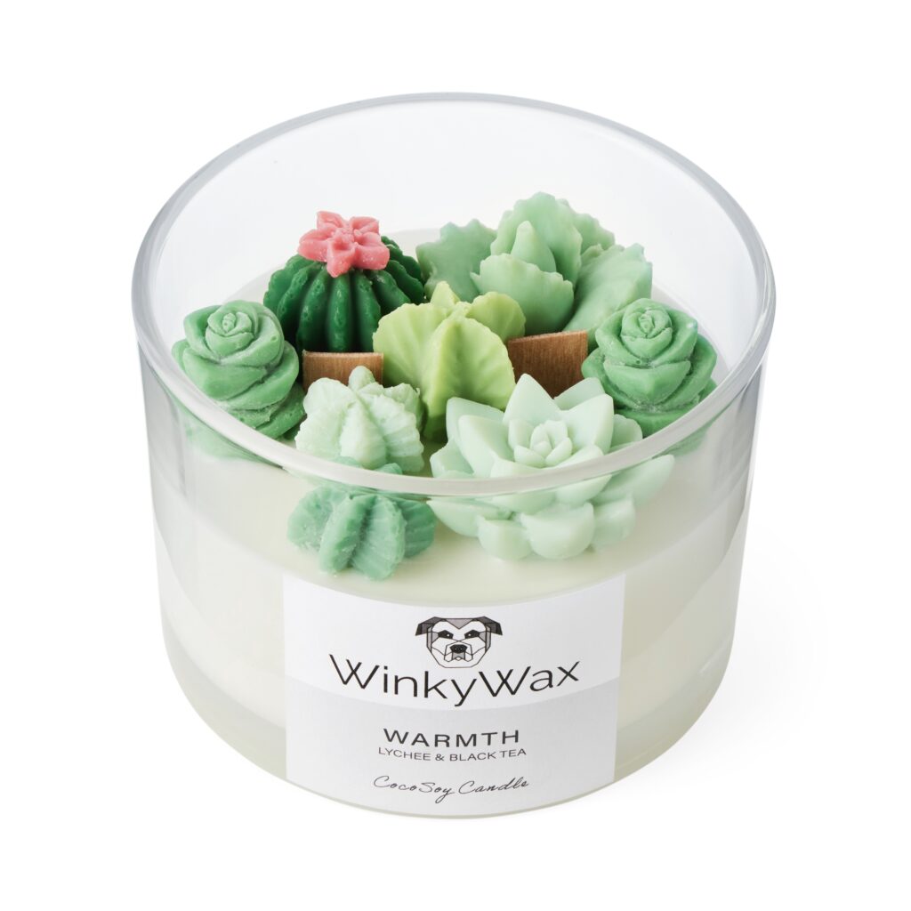 Succulent Terrarium Candle - WINKYWAX